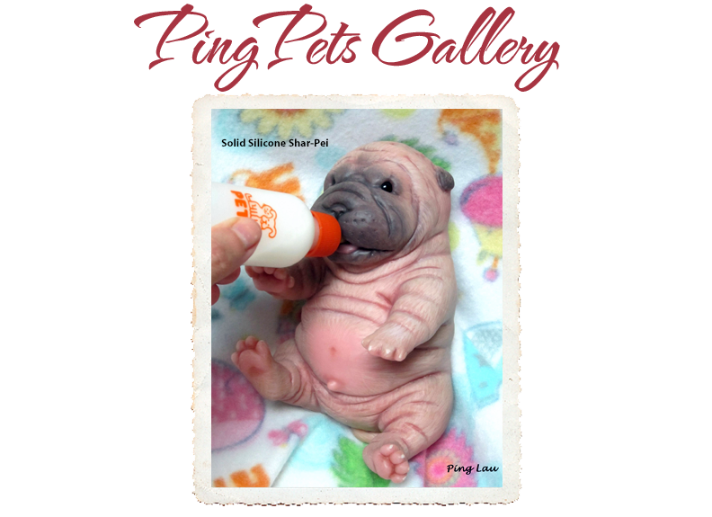 Ping Pets Gallery 3a