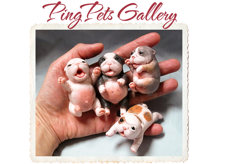 Ping Pets Gallery 9