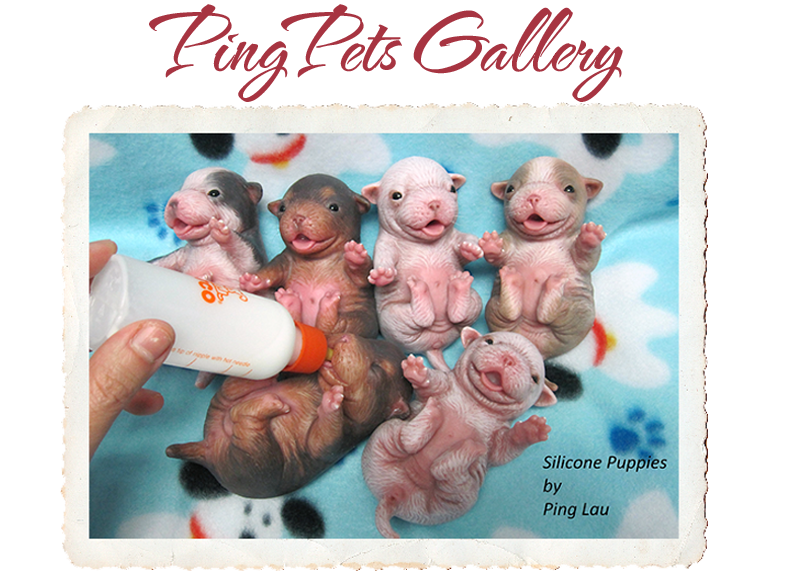 Ping Pets Gallery 4